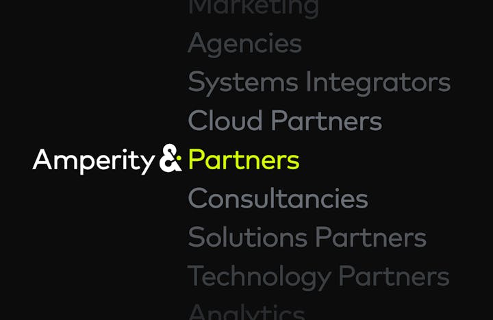 Partners | Amperity