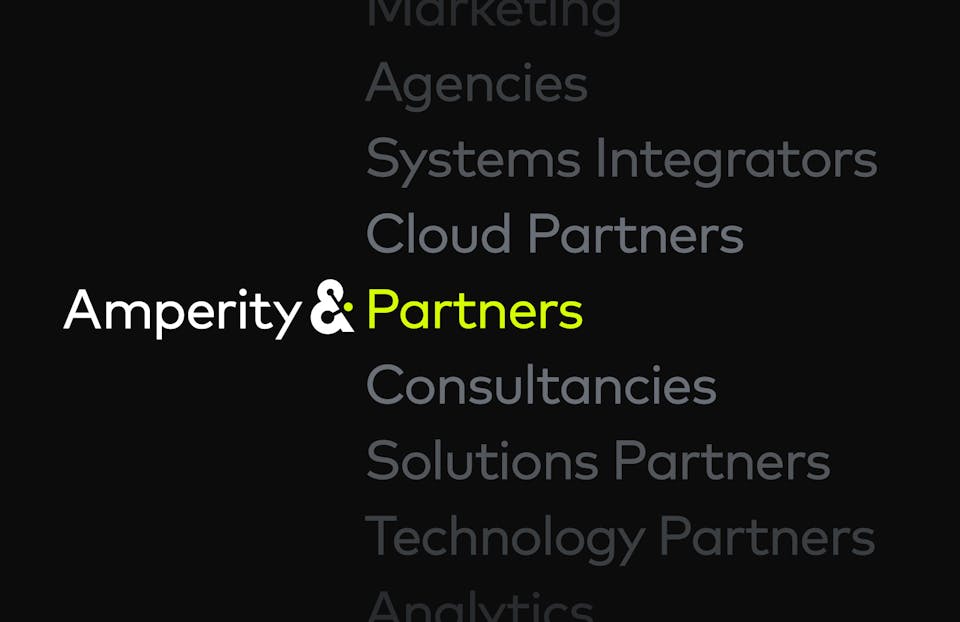 Partners | Amperity